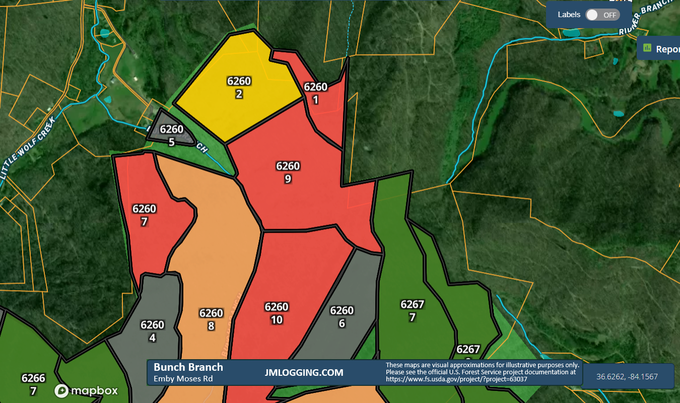 Bunch Branch – 3D Maps – Jellico Mountains Logging