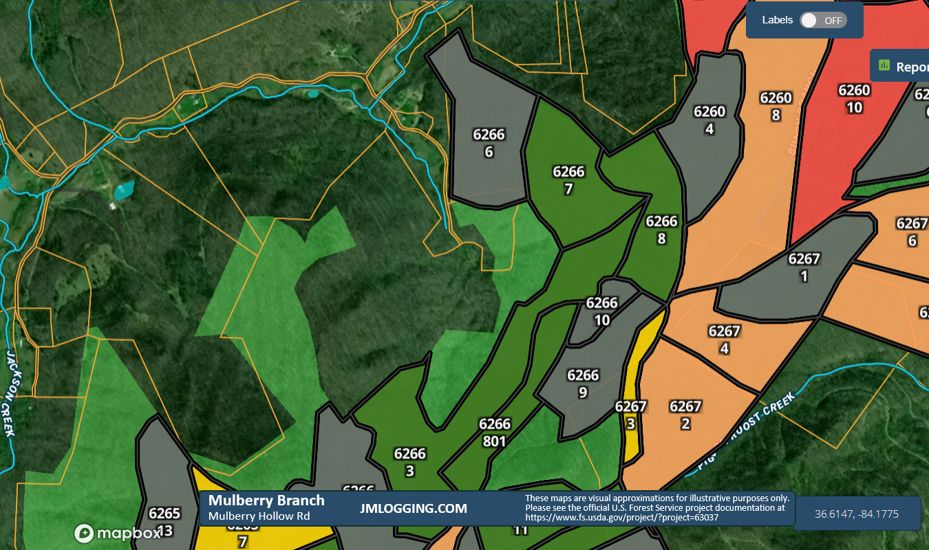 Mulberry Branch – 3D Maps – Jellico Mountains Logging