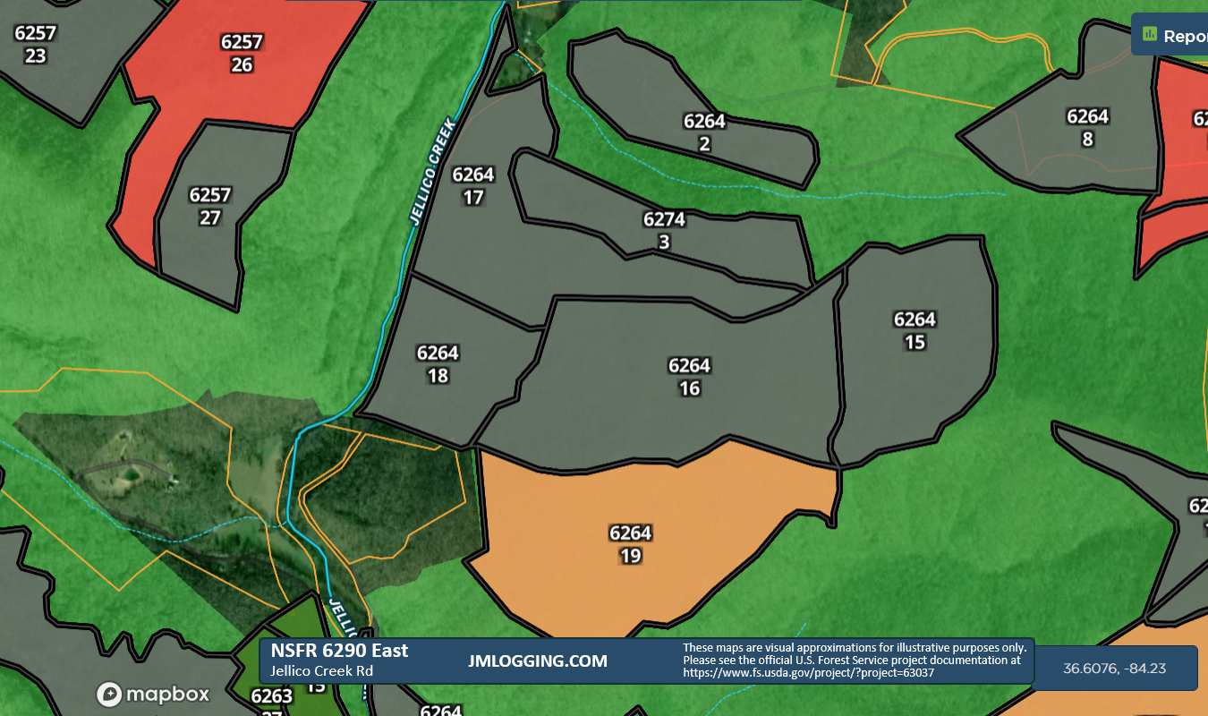 NFSR 6290 East – 3D Maps – Jellico Mountains Logging