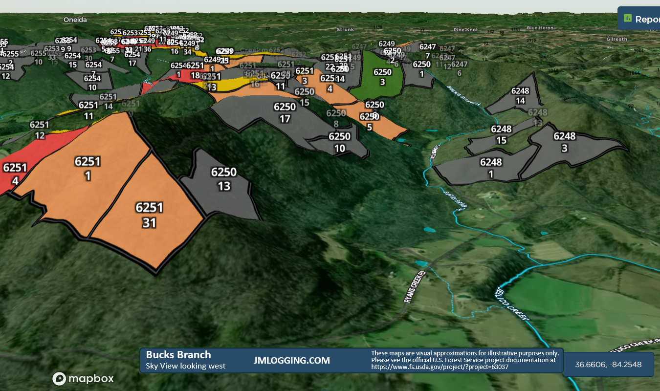 Bucks Branch – 3D Maps – Jellico Mountains Logging