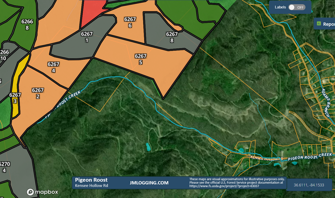 Pigeon Roost – 3D Maps – Jellico Mountains Logging
