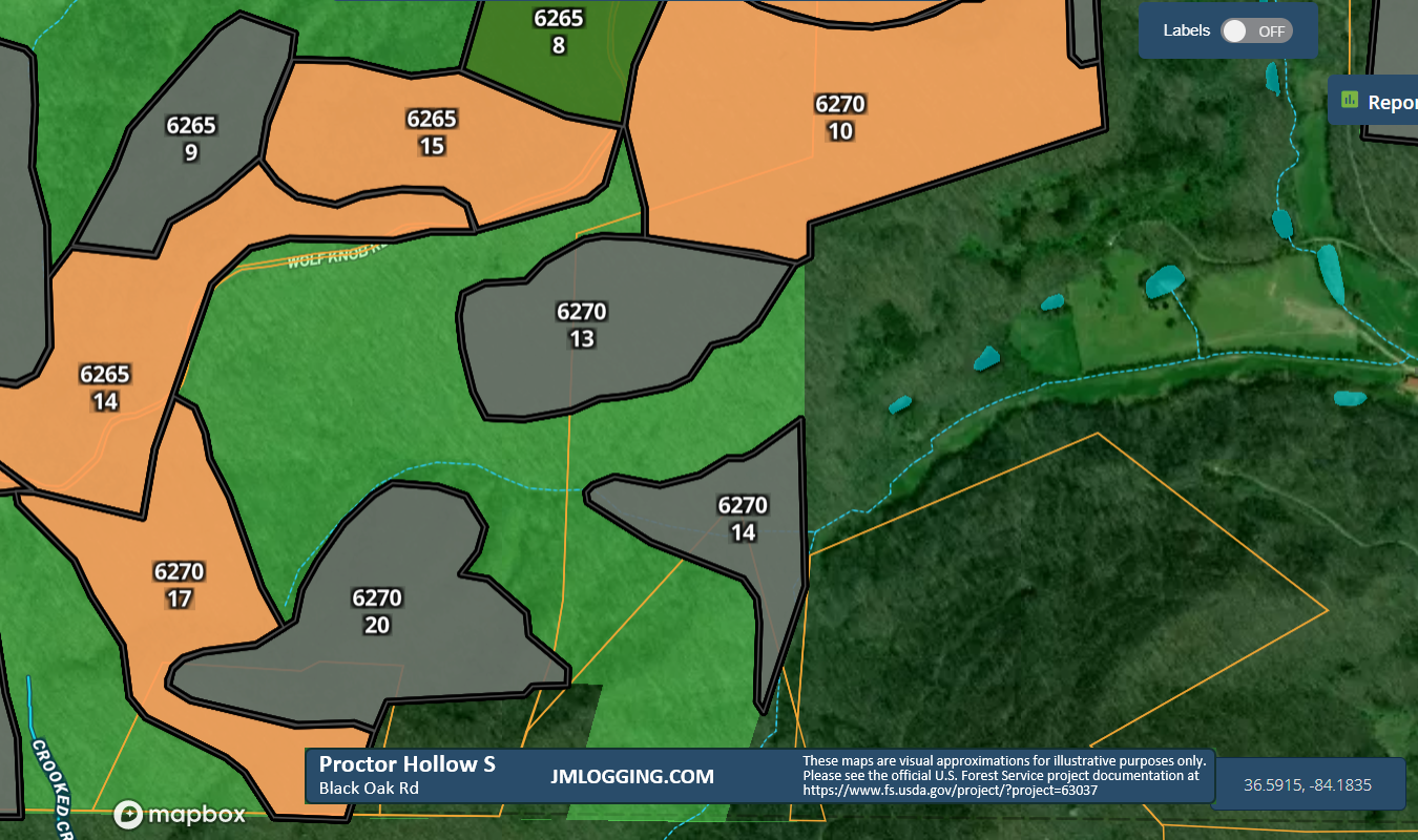 Proctor Hollow South – 3D Maps – Jellico Mountains Logging