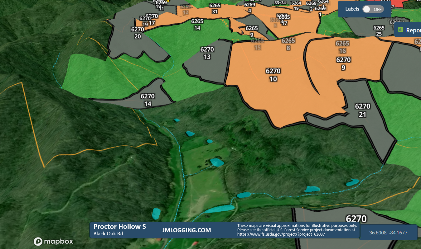 Proctor Hollow South – 3D Maps – Jellico Mountains Logging
